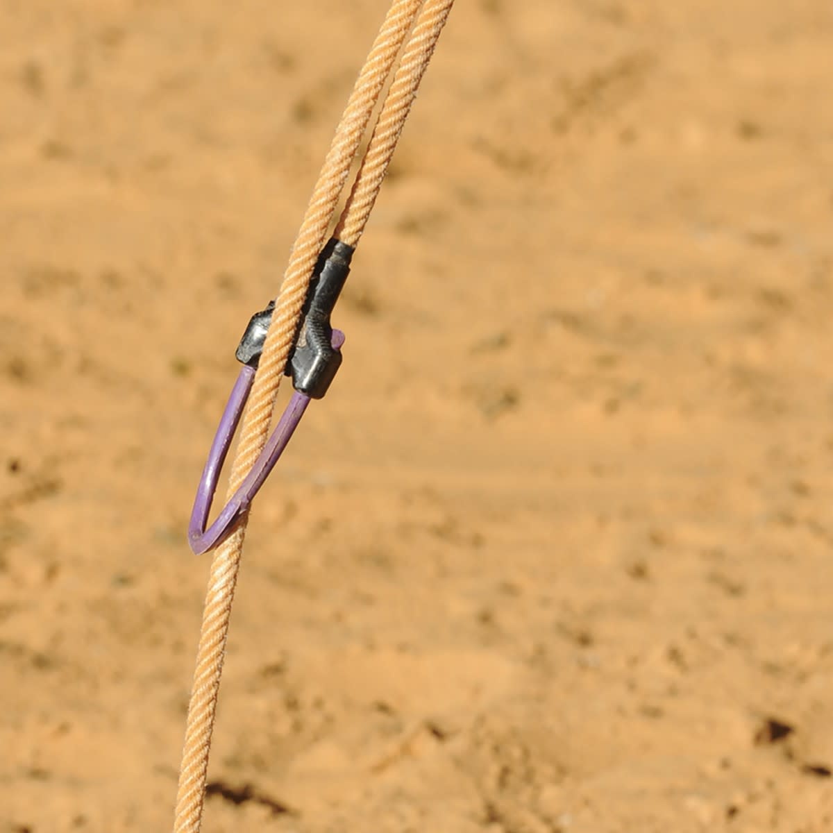 Breakaway Hondas - EURO-HORSE western riding supplies