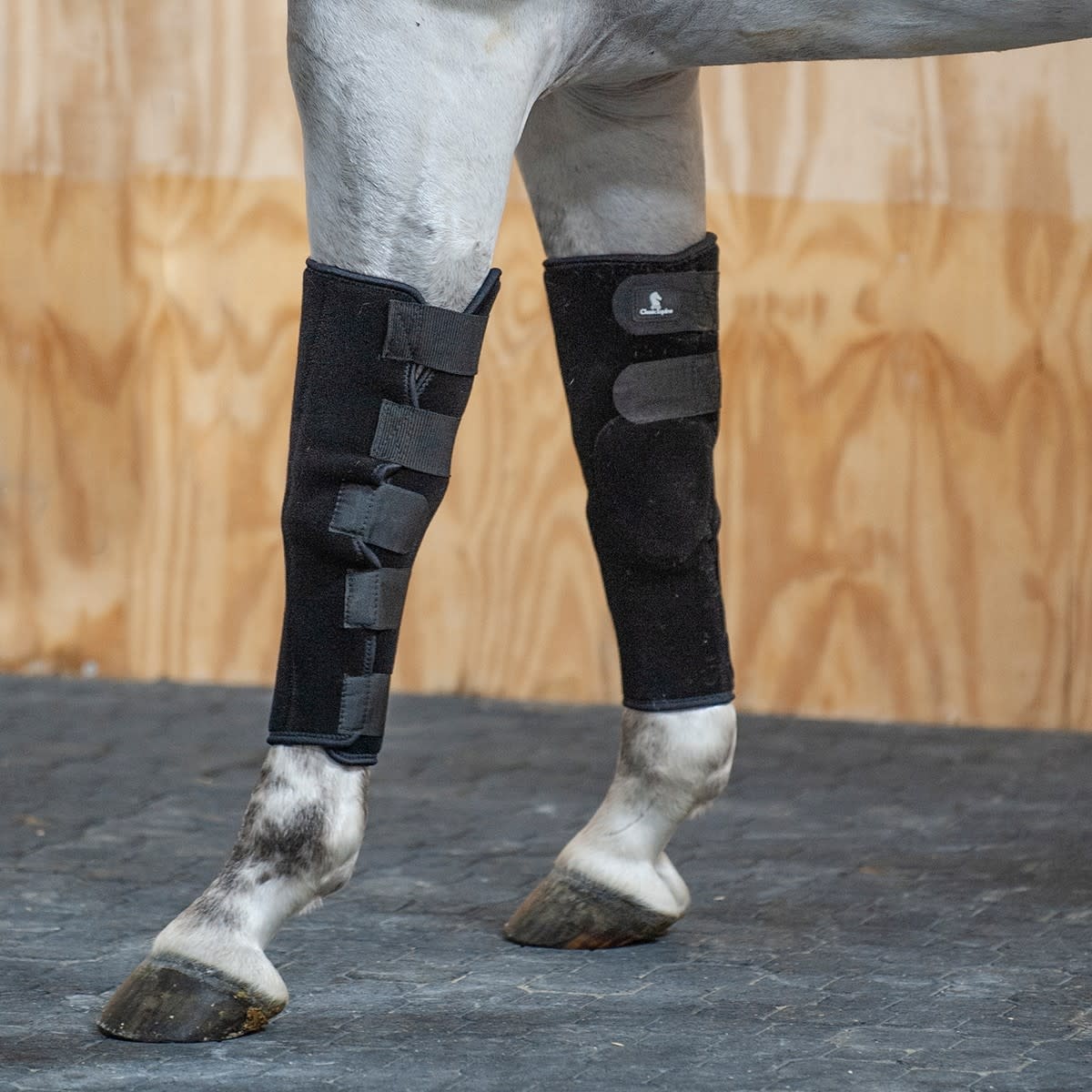 Stud Breeding Boots - EURO-HORSE western riding supplies