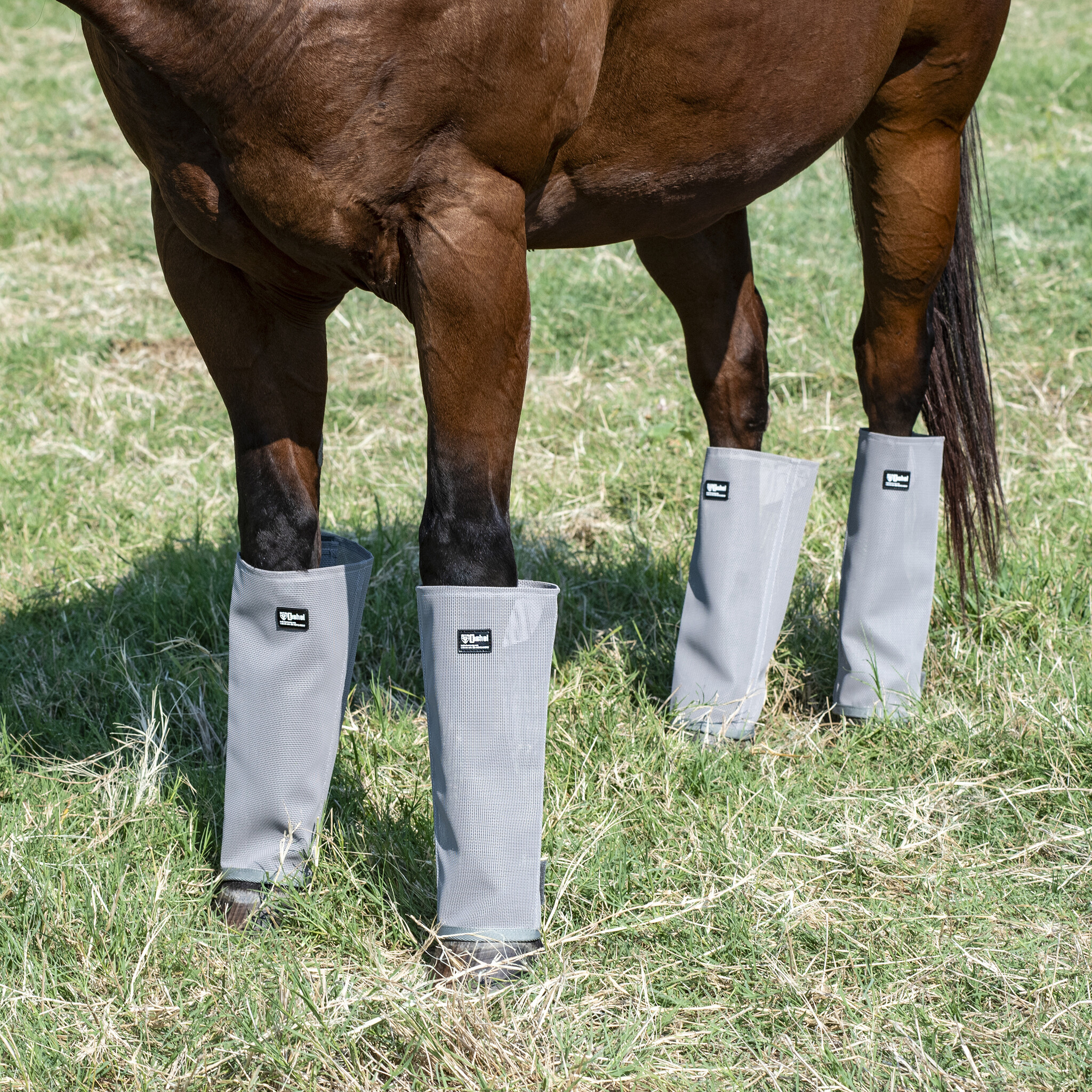 LG4 Crusader leg Guards - EURO-HORSE western riding supplies
