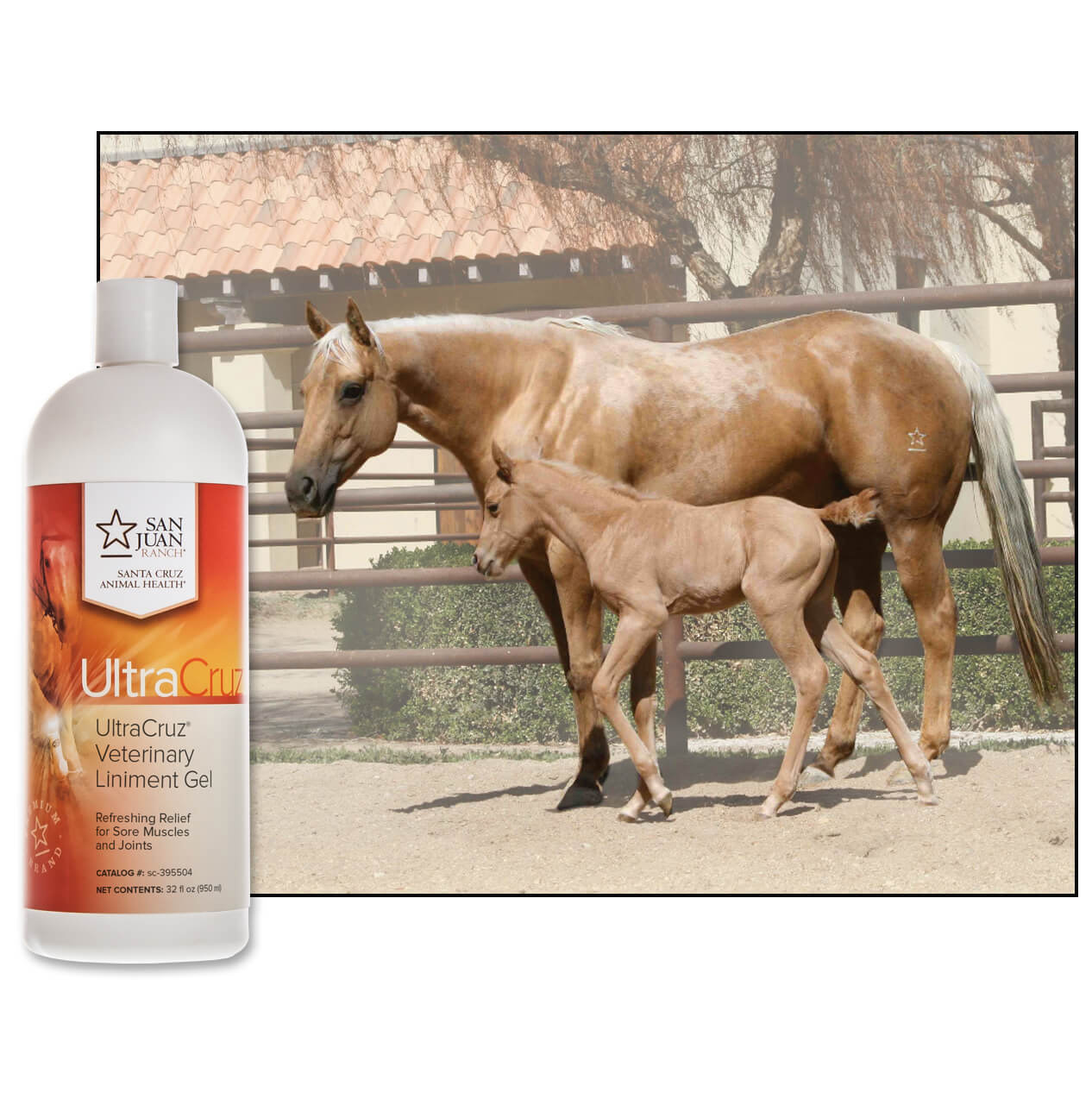 Veterinary Liniment Gel - Euro-horse western riding supplies