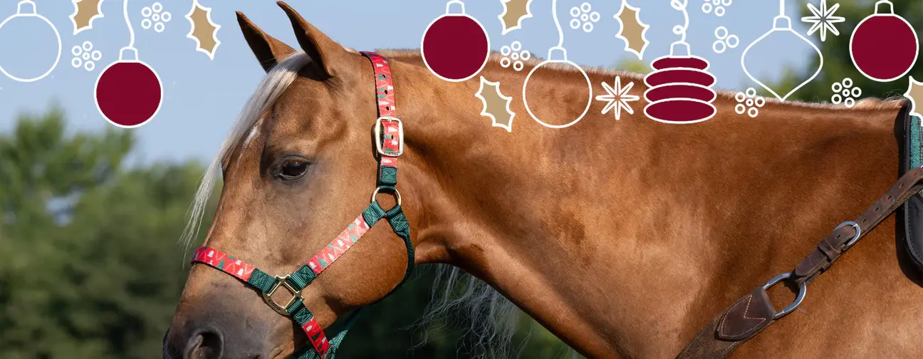 Reindeer Halter - EURO-HORSE western riding supplies