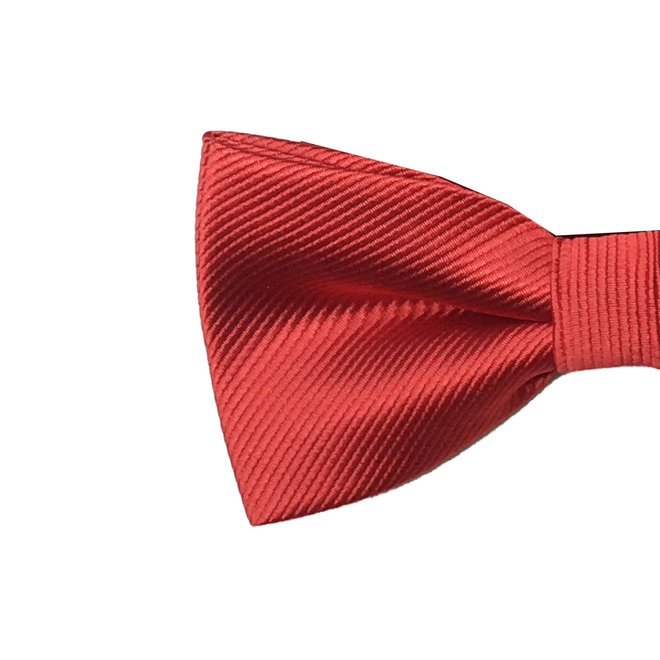 Noël - The Toutou Shop