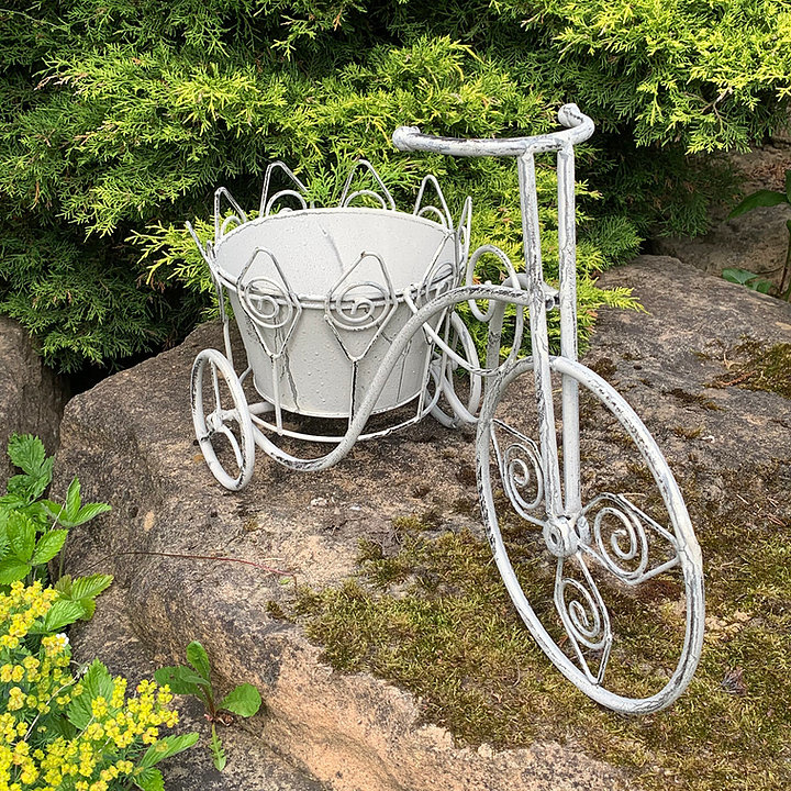 Metal Bicycle Planter - Freitaslaf Net LTD - Freitaslaf Net LTD