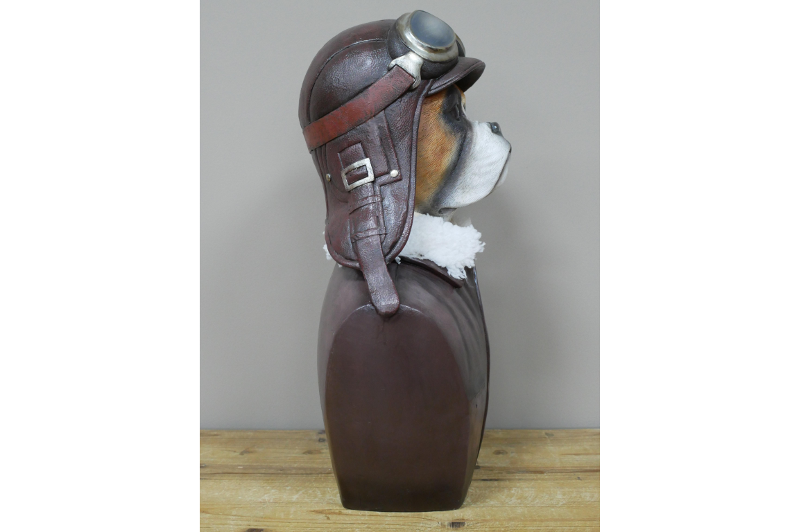 Dog Pilot Bust - Freitaslaf Net LTD - Freitaslaf Net LTD