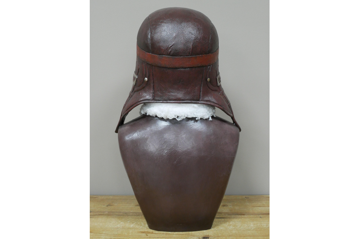 Dog Pilot Bust - Freitaslaf Net LTD - Freitaslaf Net LTD