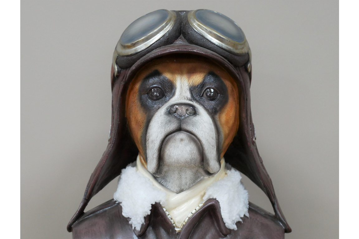 Dog Pilot Bust - Freitaslaf Net LTD - Freitaslaf Net LTD