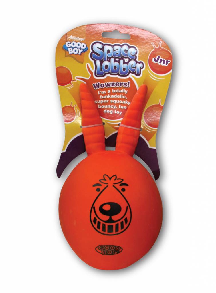 LOB IT! Space Lobber Junior Dog Toy 115mm 4.5inch - Pet Care By Post