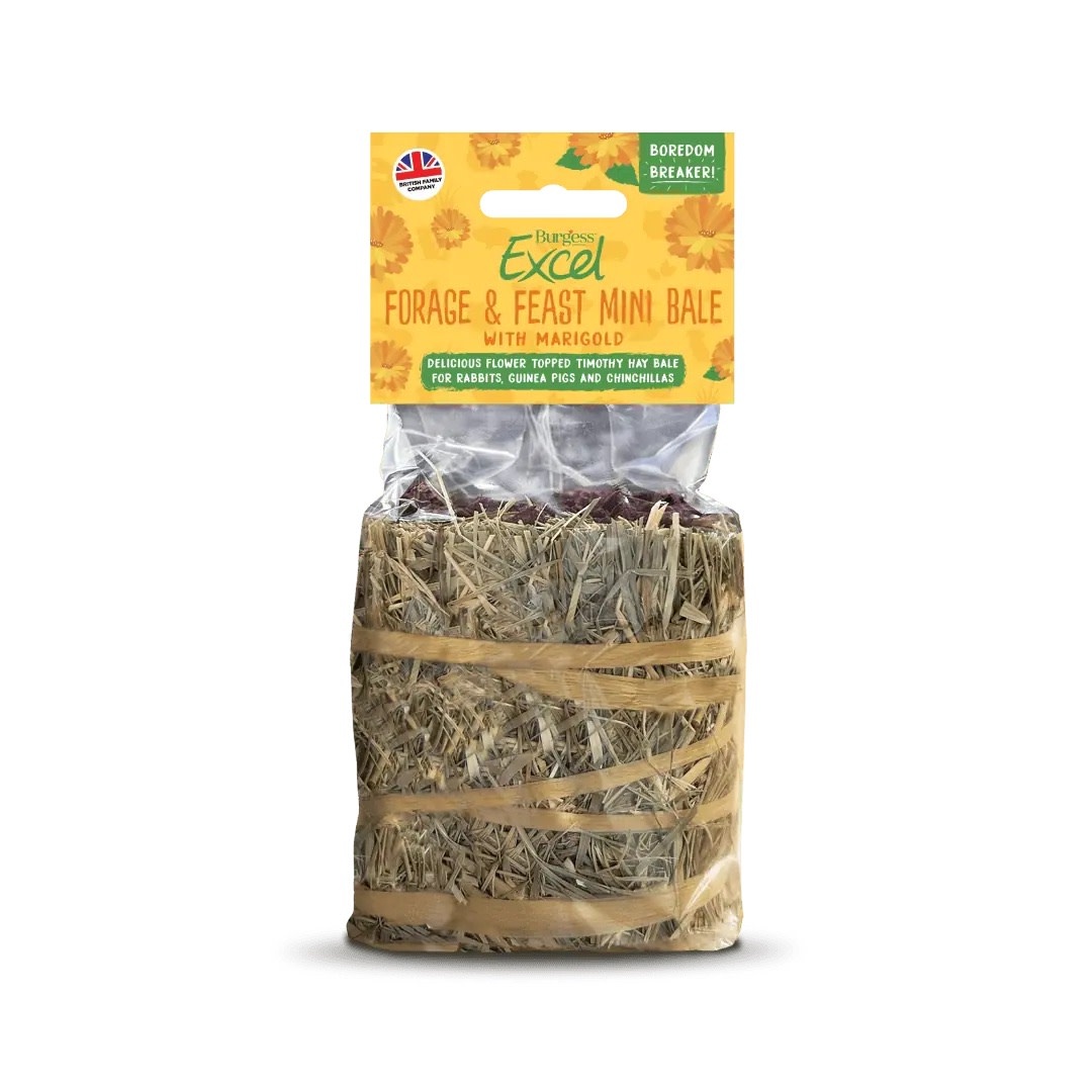 Excel Forage & Feast Mini Bale, 100g - Pet Care By Post