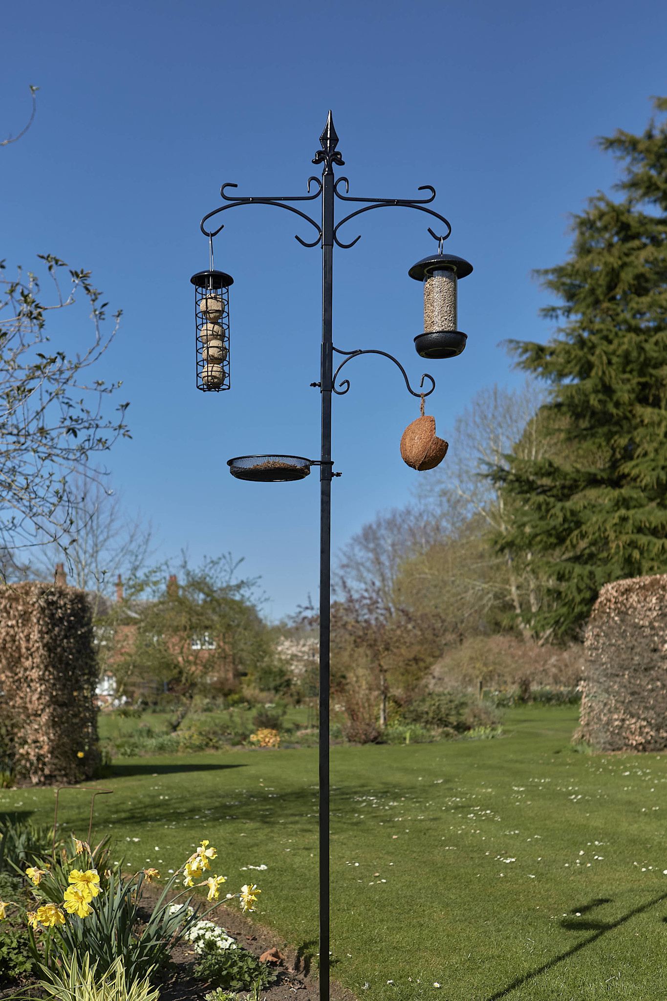 Piazza Bird Station - Pet Care By Post