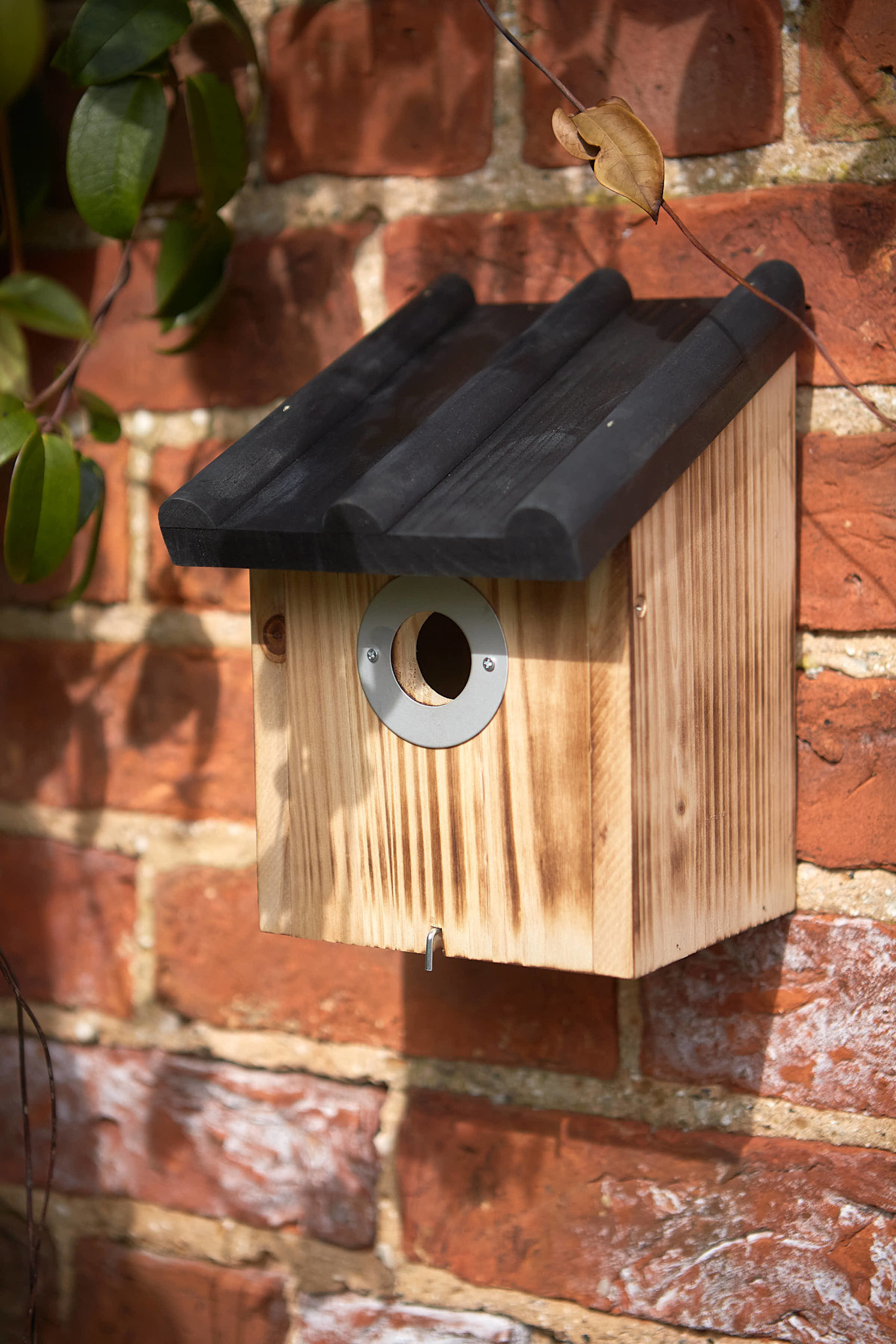 Crest Nest Box (FSC) - Pet Care By Post