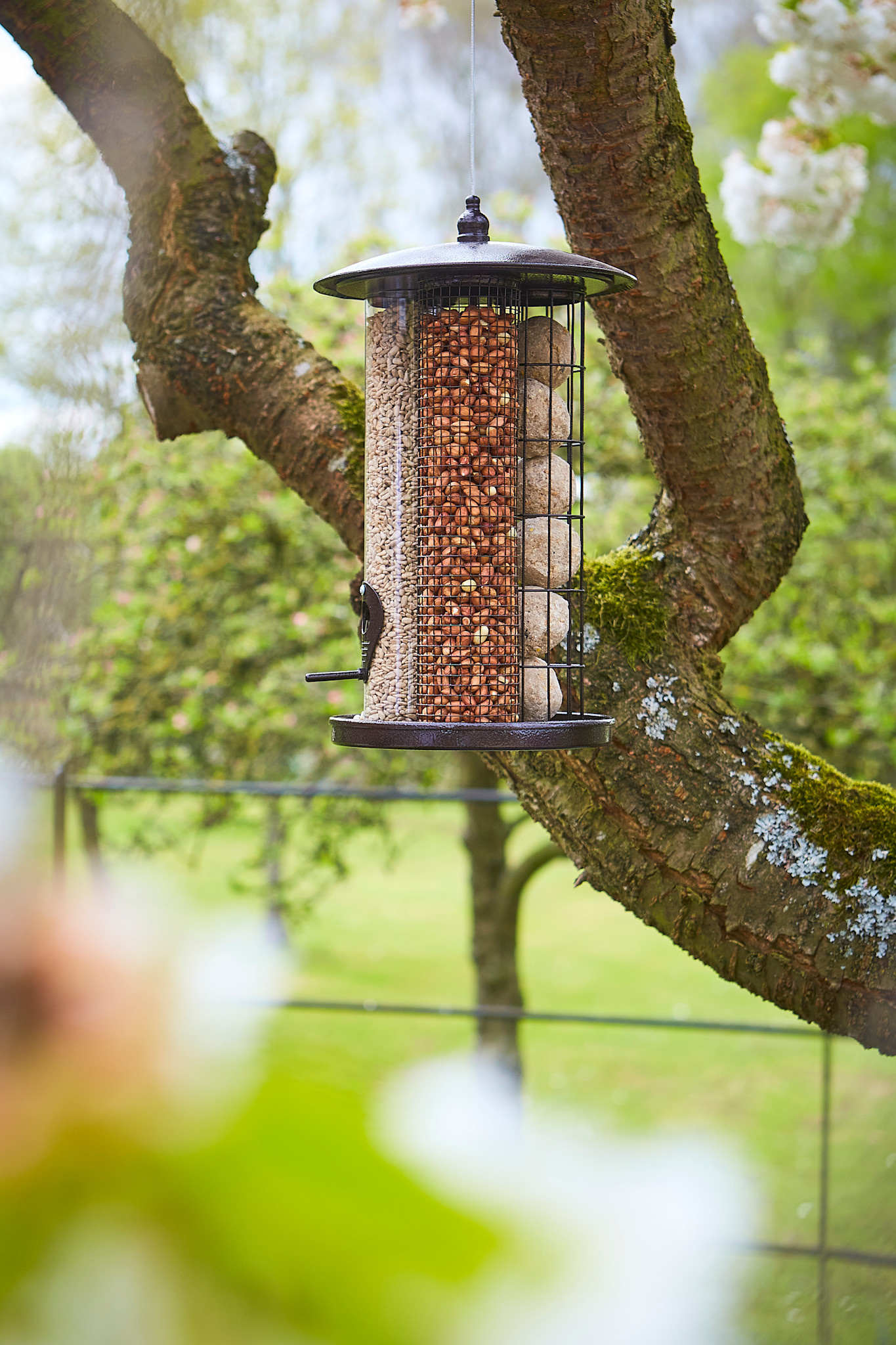 Trinity Bird Feeder - Pet Care By Post