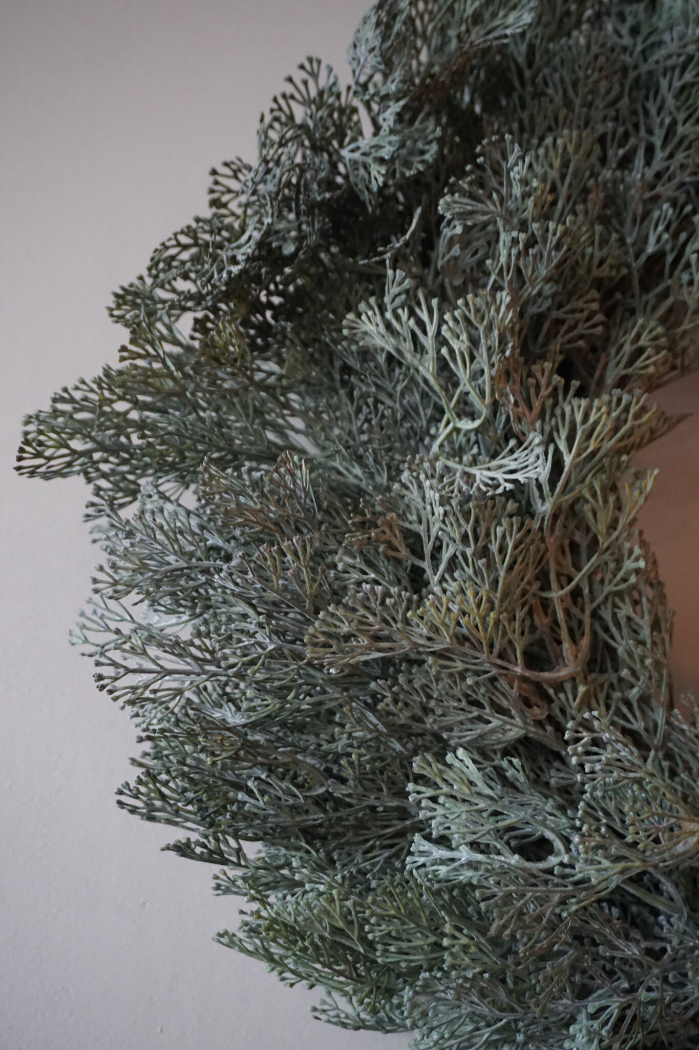 Krans | Dillekruid | 60 cm - Rene Houtman