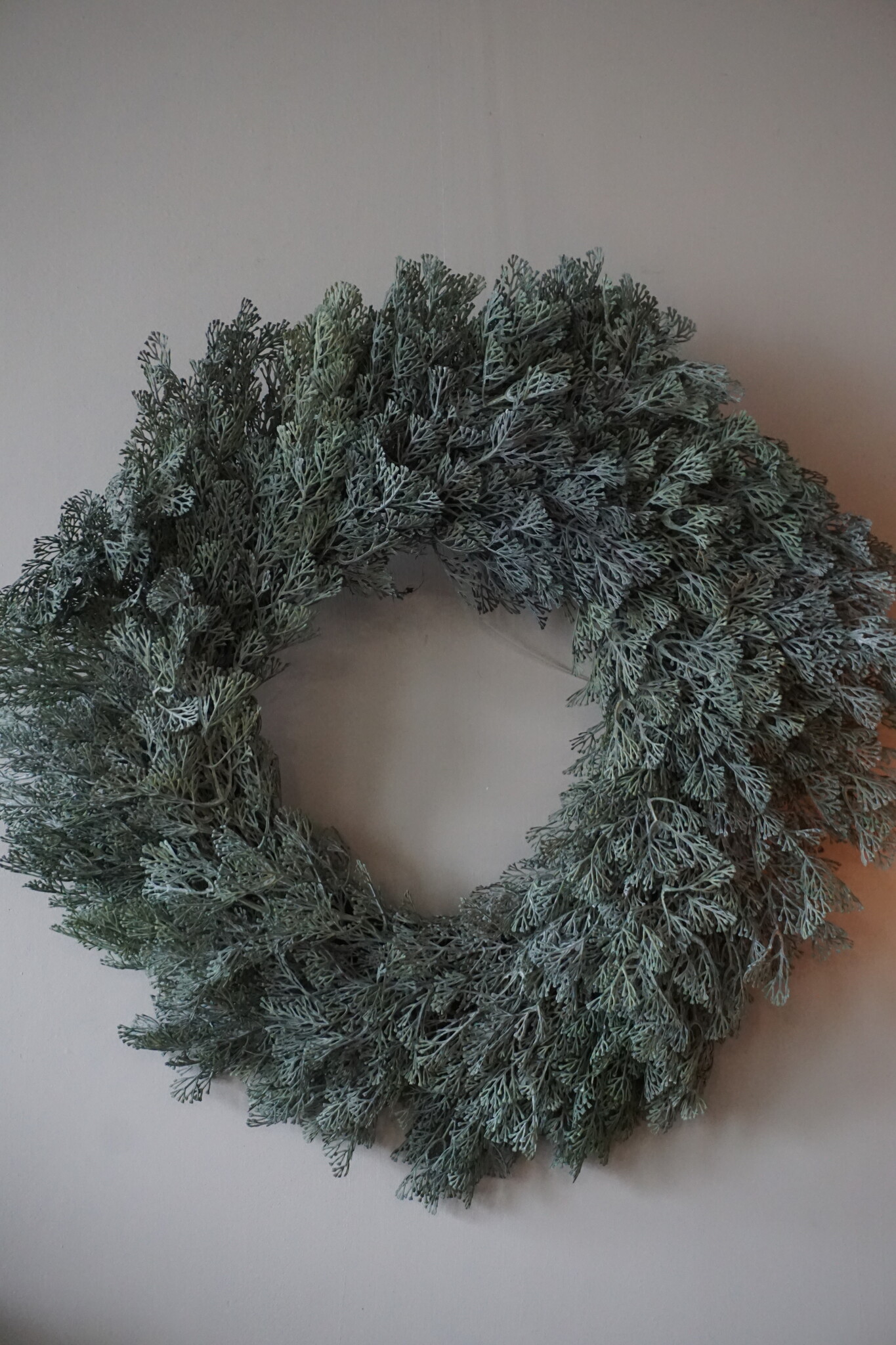 Krans | Dillekruid | 60 cm - Rene Houtman