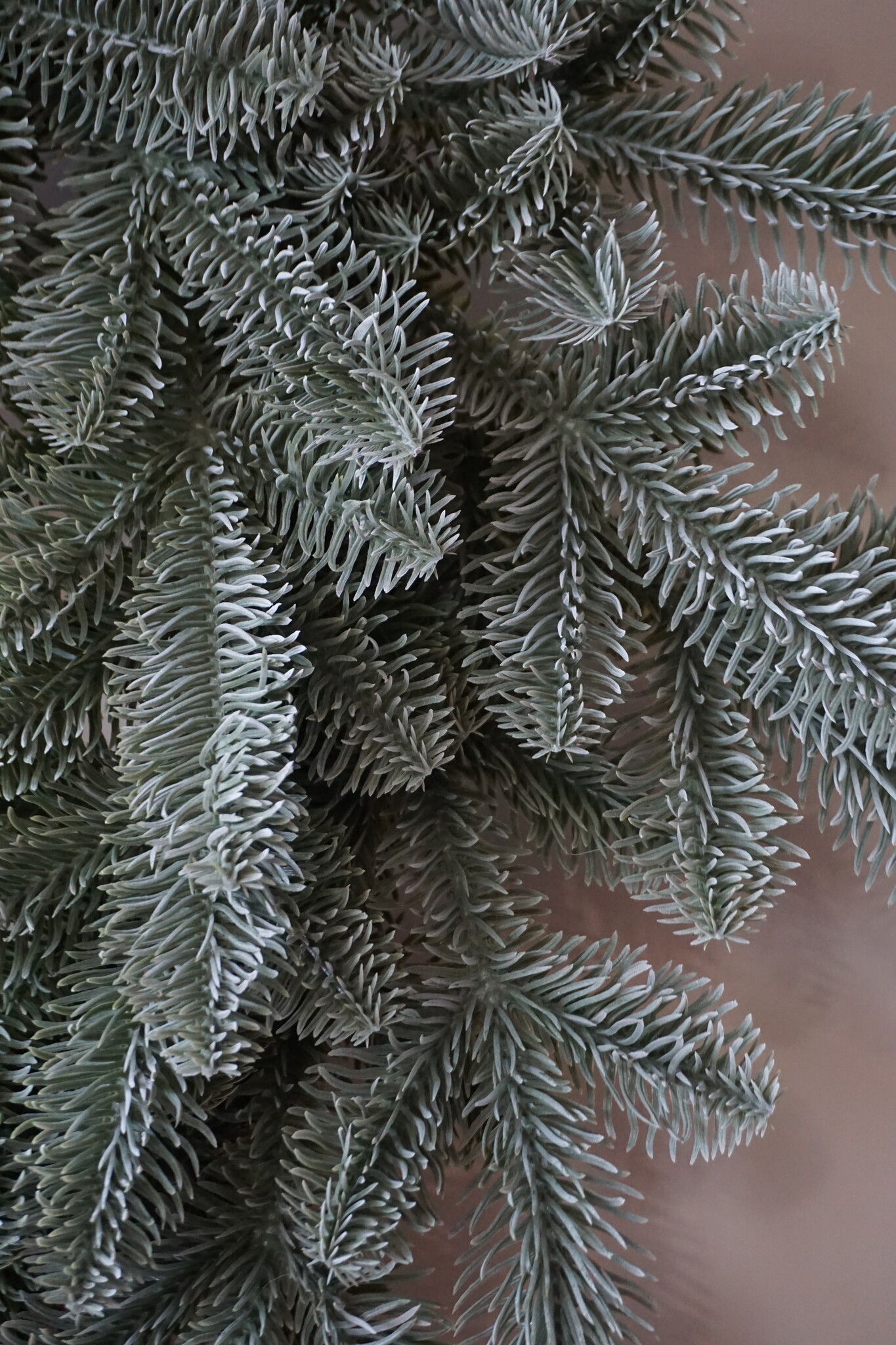 Nobilis Krans Excl. Belletjes | D60 CM - Rene Houtman