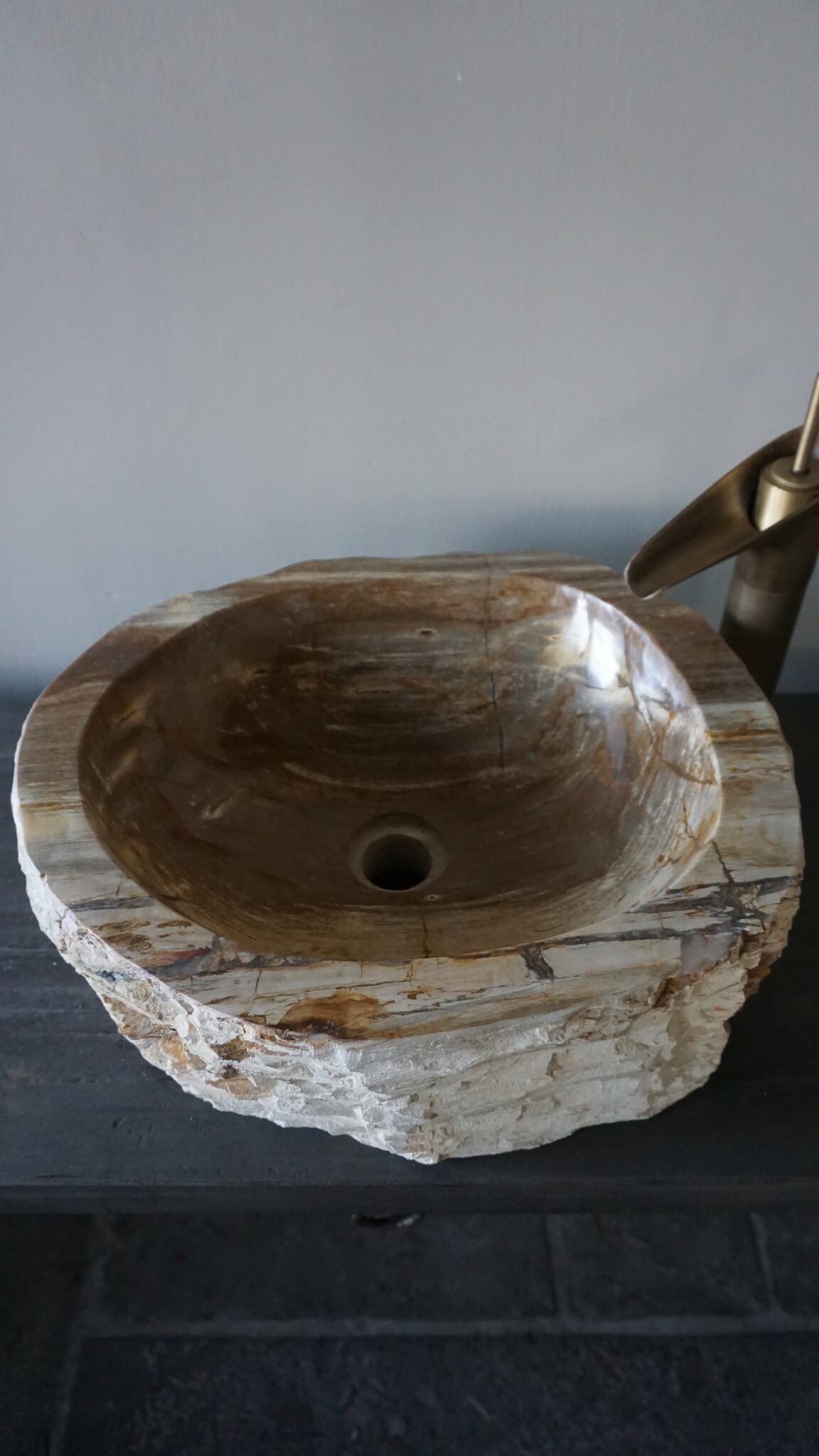 Waskom Fossil | B44 x D39 x H16 cm | Uniek | Rene Houtman Interieurs ...