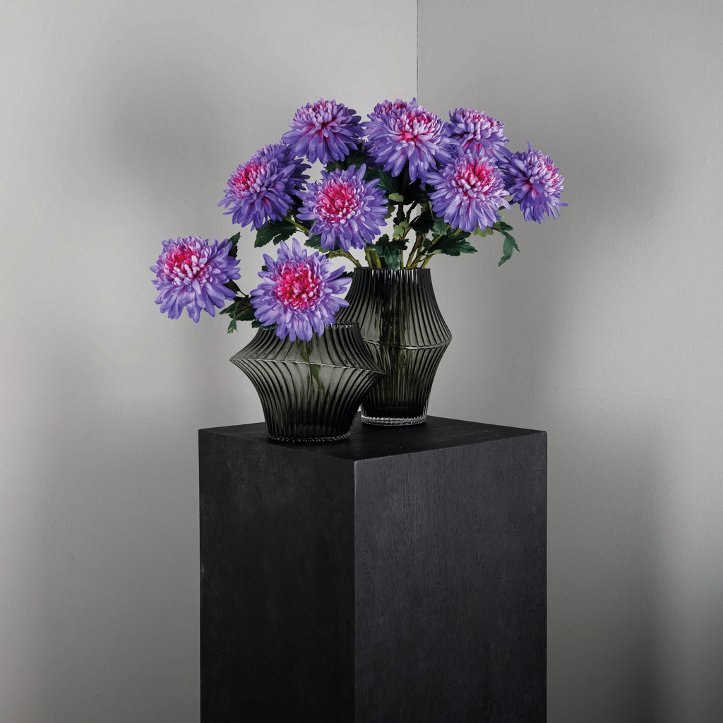 Tuinbloem paarse chrysant spray - Rene Houtman