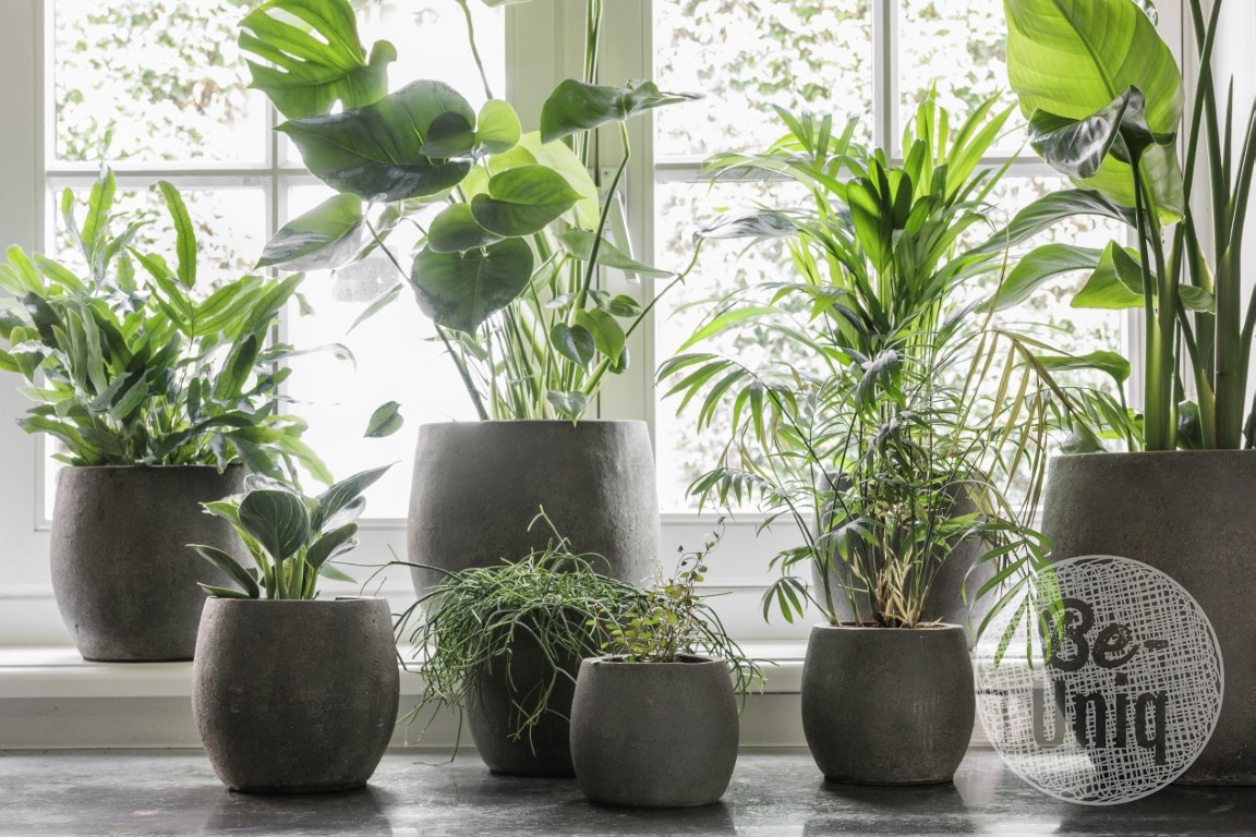 Pot Foss | Elephant Collection | Set Van 4 | H16 x D18 cm - Rene Houtman