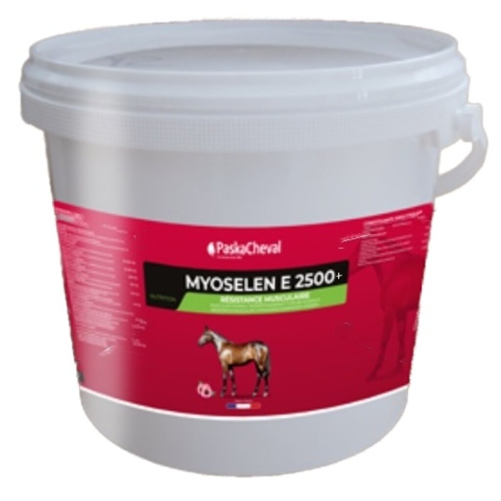 MYOSELEN + voor behoud van soepele en sterke spieren - Paardensupplementen.nl