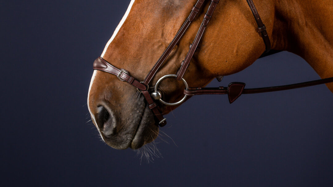 Dy'on NE Adjustable Drop Noseband Brown - House of Horses