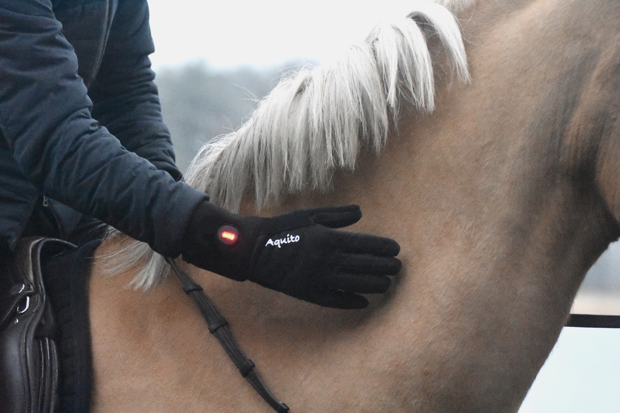 Aquito Heated Gloves - House of Horses