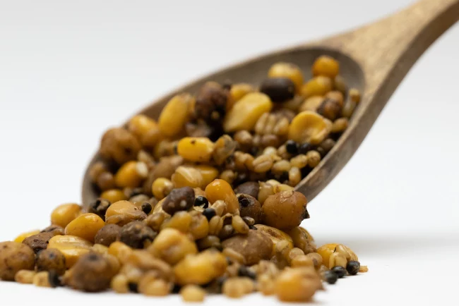 Particlemix - 5kg - Ready2Fish kopen? - KarperCentrale.nl. - KarperCentrale