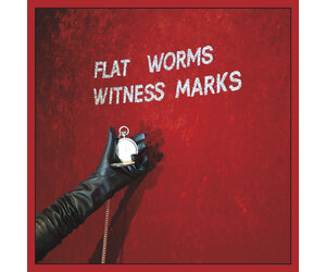 Flat Worms - Witness Marks | STRANGER THAN PARADISE RECORDS - Stranger Than Paradise Records