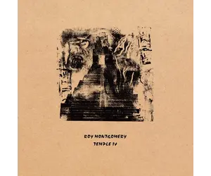 Roy Montgomery - Temple IV | STRANGER THAN PARADISE RECORDS - Stranger ...