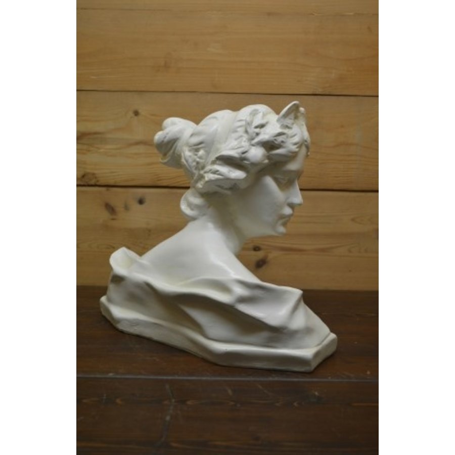 vrouwen buste│borstbeeld│decoratie│MEGA STUNT Meulenveld.com Nederland ...