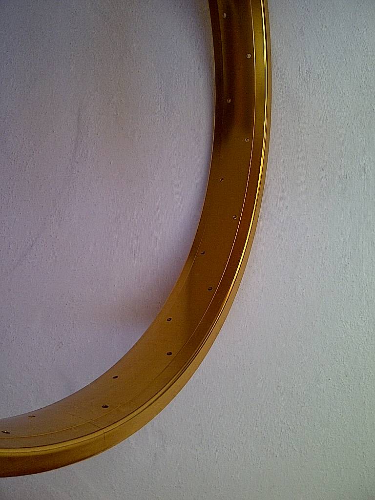 alloy rim DW65, 24", golden anodized - Robs'son