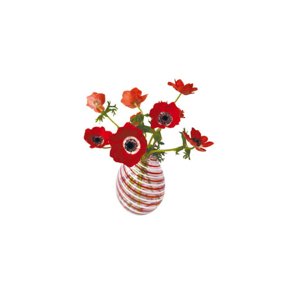 Flat flowers - ansichtkaart raamsticker - anemoon rode vaas (15 x 15 cm ...