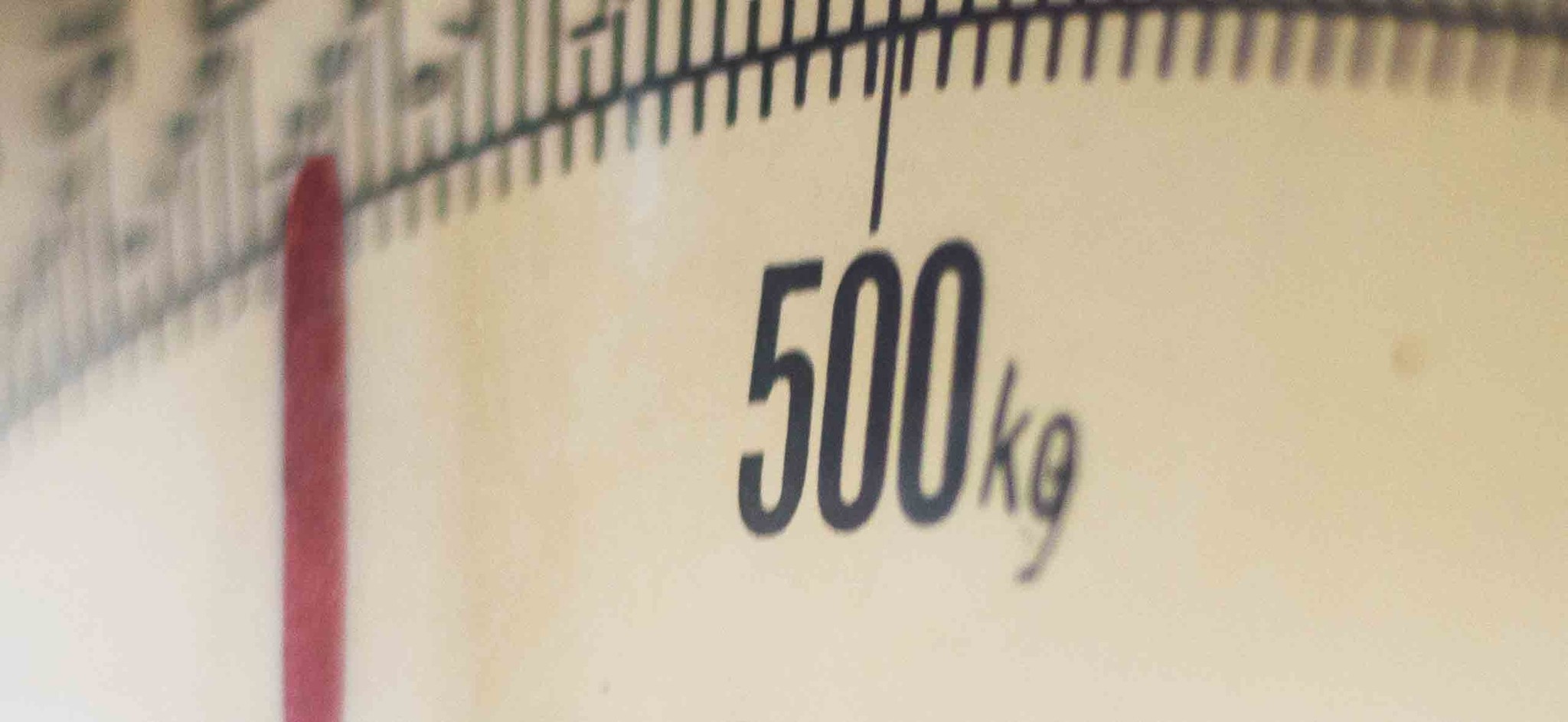 Capacidad de carga: ¿cómo funciona? | Rotomshop.es