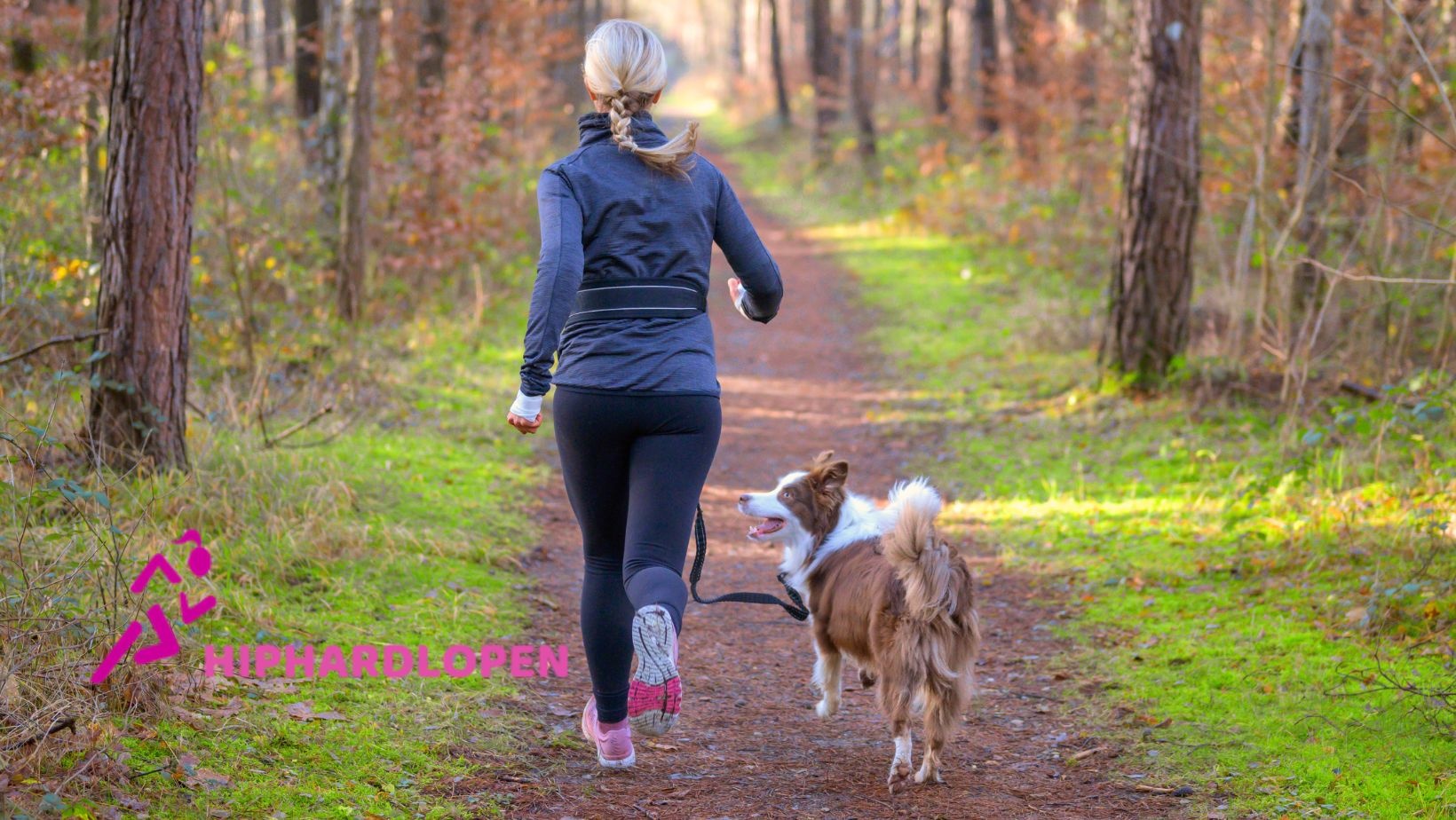 Hardlopen met je hond | blog - Hiphardlopen.nl