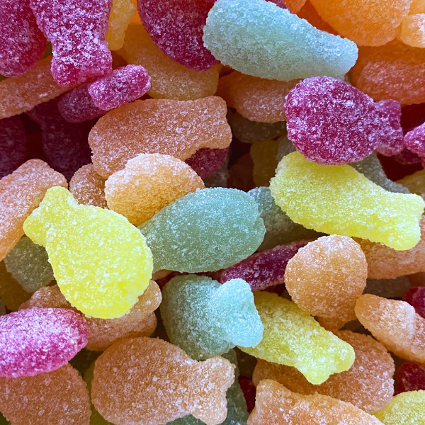 Snoep visjes van Lutti in een bulkverpakking van 3 kg kopen? - Snoepman