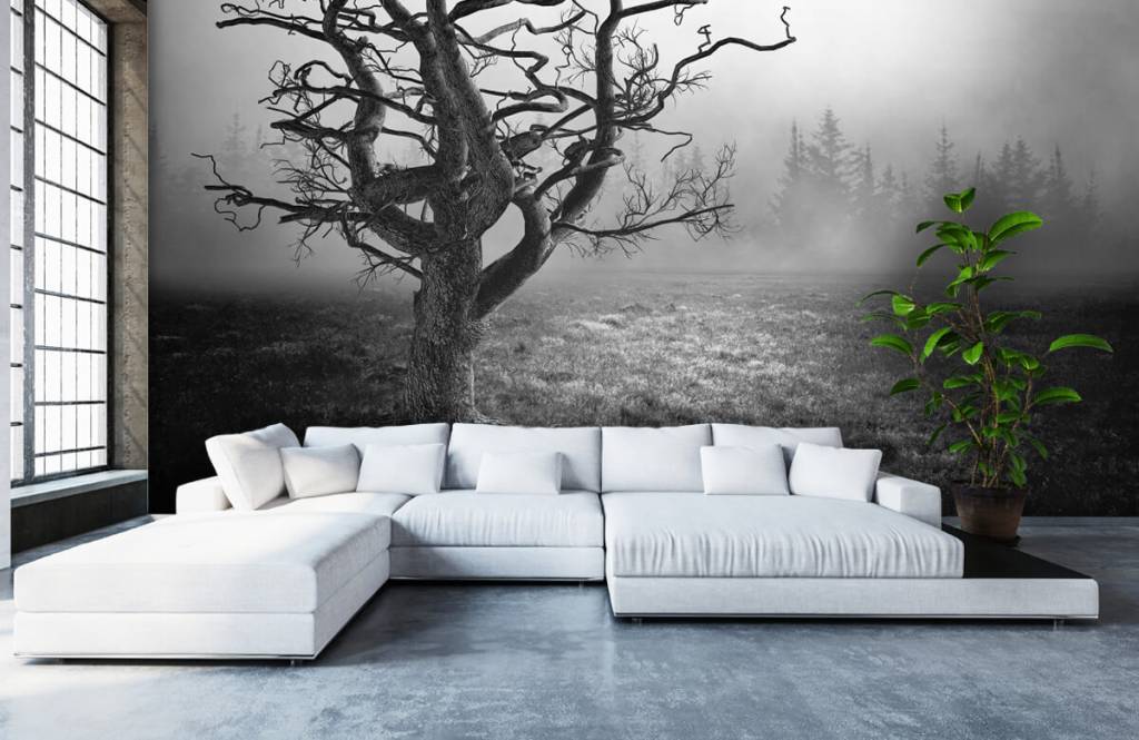 Behang met een sierlijke boom - Fotobehang Behang met een sierlijke boom - Fotobehang