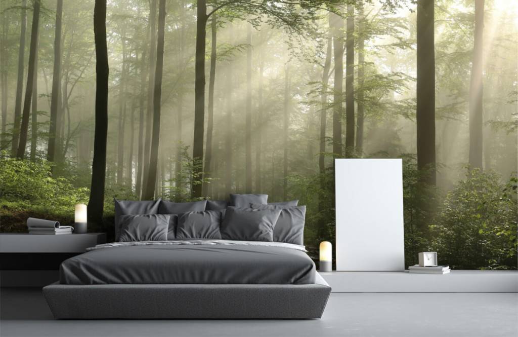 Behang met een groen bos in de mist - Fotobehang