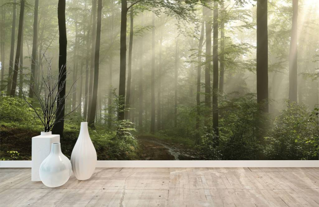 Behang met een groen bos in de mist - Fotobehang