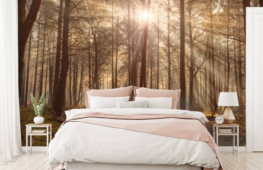 Behang met bos met hoge bomen - Fotobehang