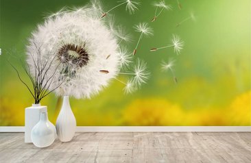 Fotobehang natuur - haal een prachtige natuurlijke omgeving in huis ...