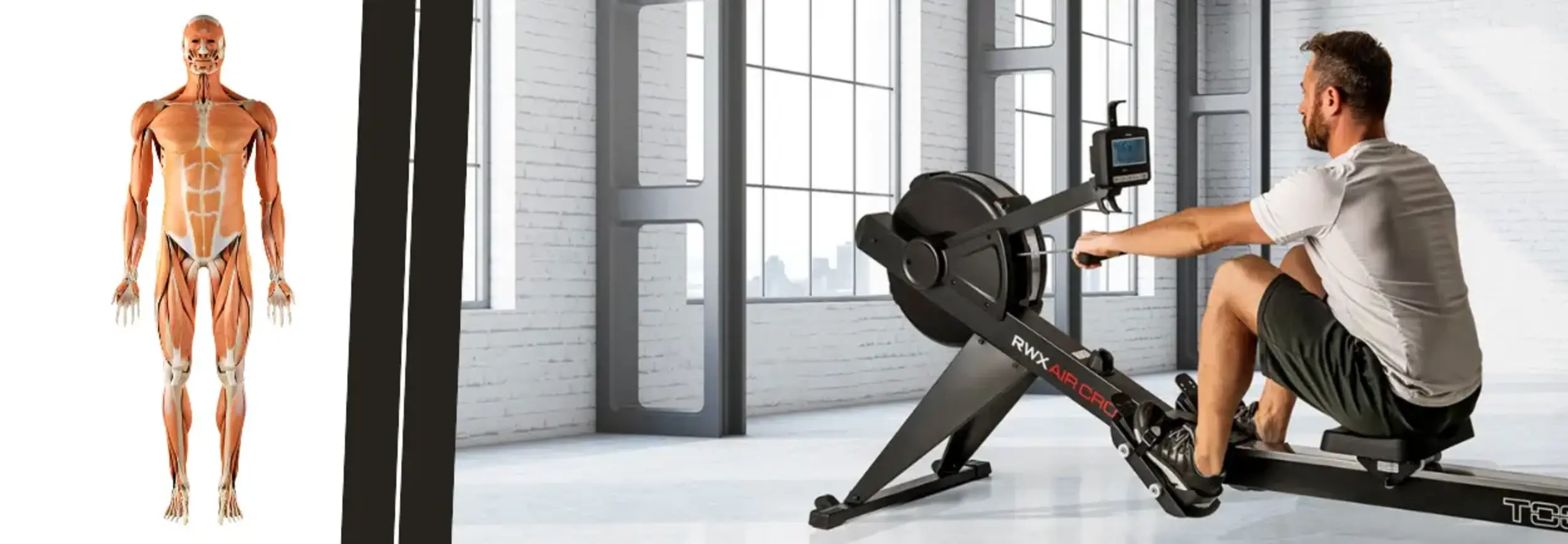 Welke spieren train je met roeien? Lees meer | NRG fitness