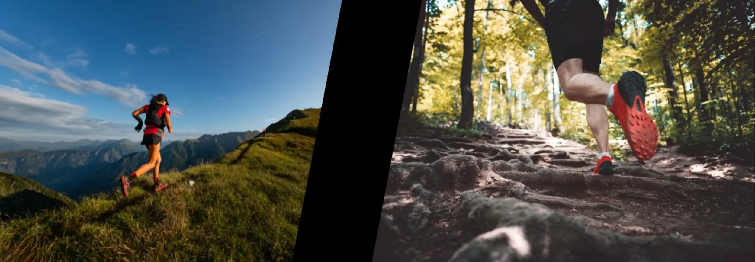 Trailrunning: alles over Avontuurlijk Hardlopen