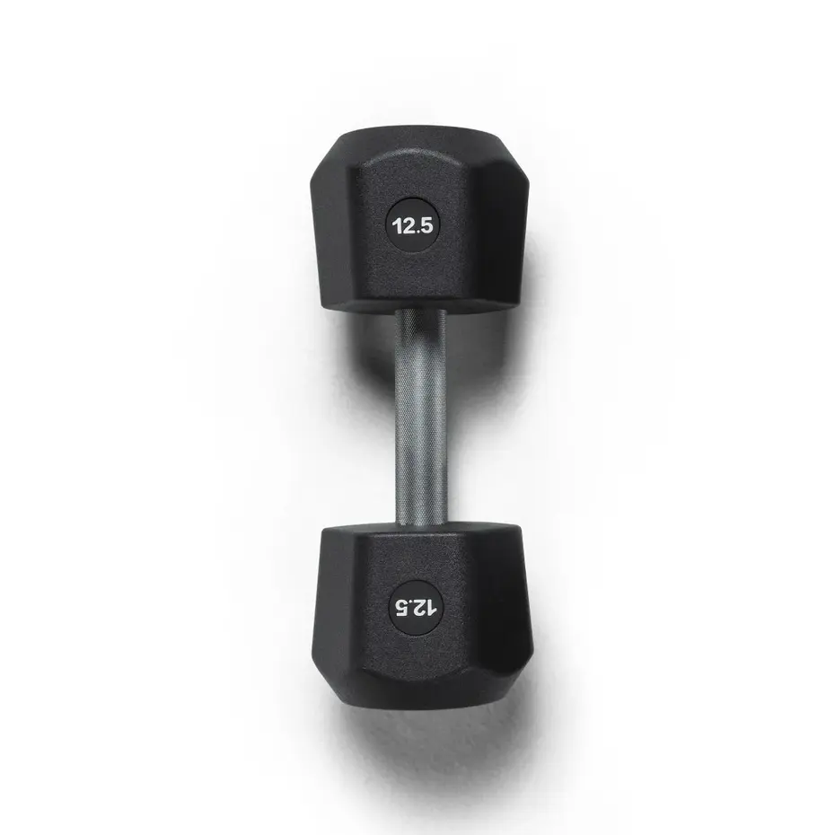 Centr x Hyrox Urethane Dumbbell 12.5KG | NRG fitness