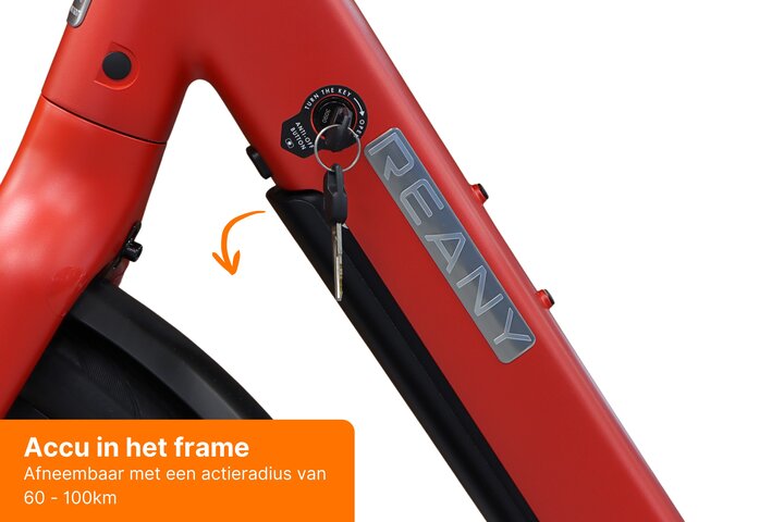 REANY Bike W1 Elektrische Damesfiets Belt Drive