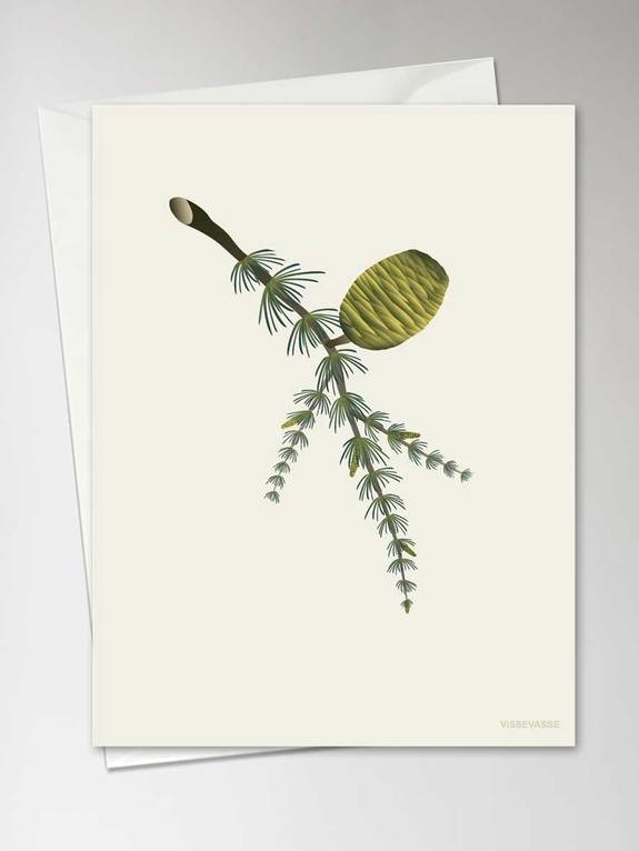 CEDER CONE Greeting card ~ By VisseVasse - De Groene Knoop • Green ...