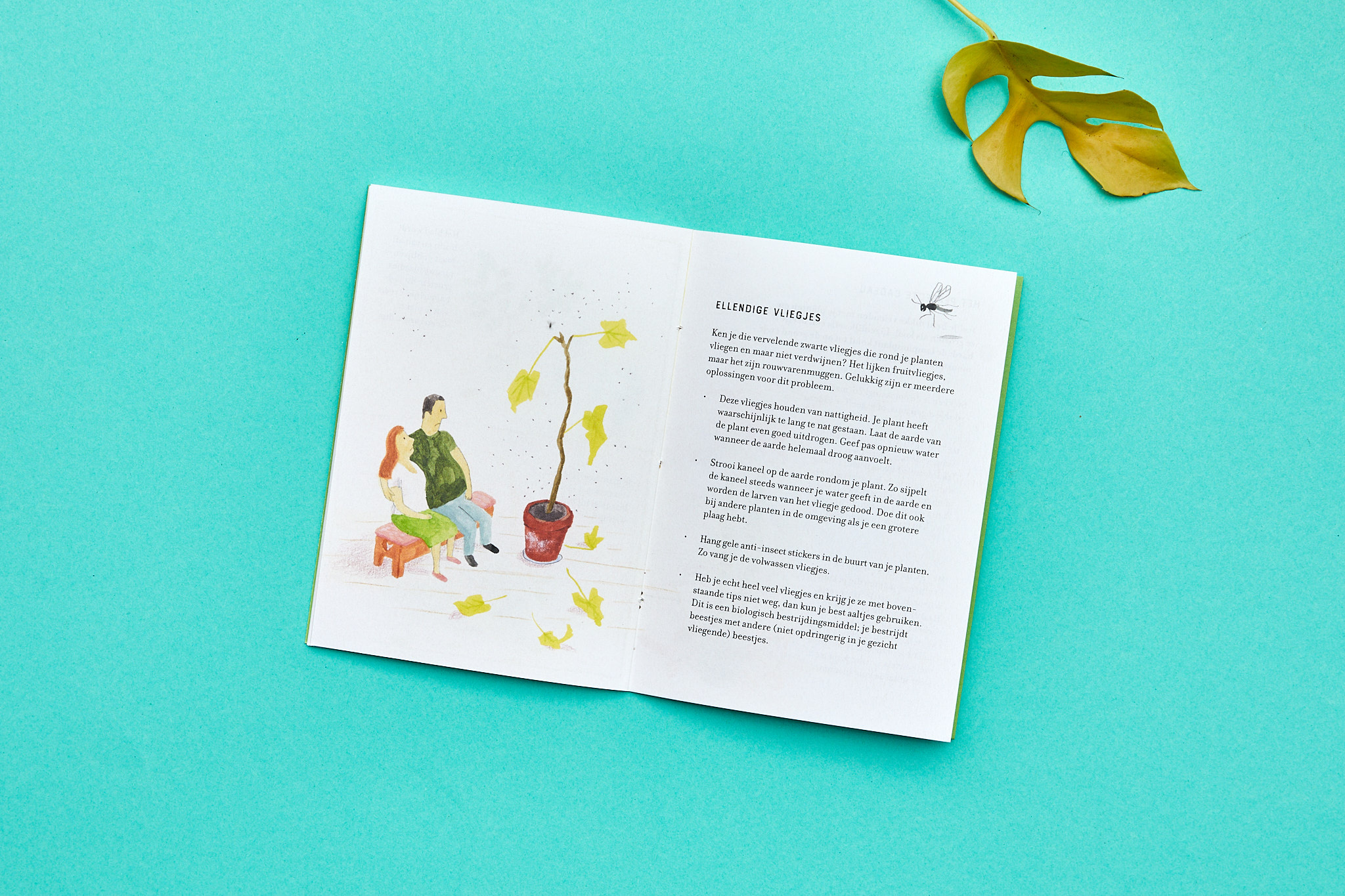 GROENE VINGERS ~ Kakkerlakjes - De Groene Knoop • Green Lifestyle Store -