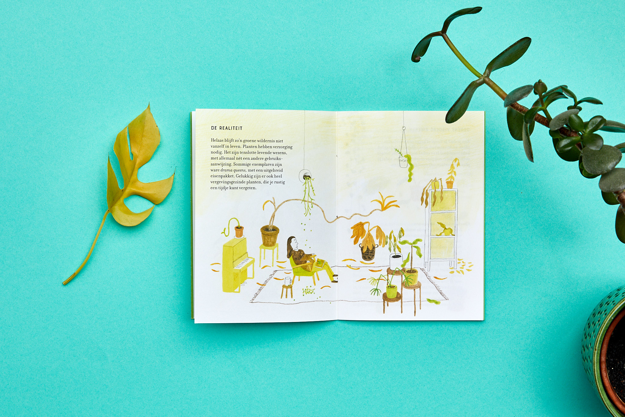 GROENE VINGERS ~ Kakkerlakjes - De Groene Knoop • Green Lifestyle Store -