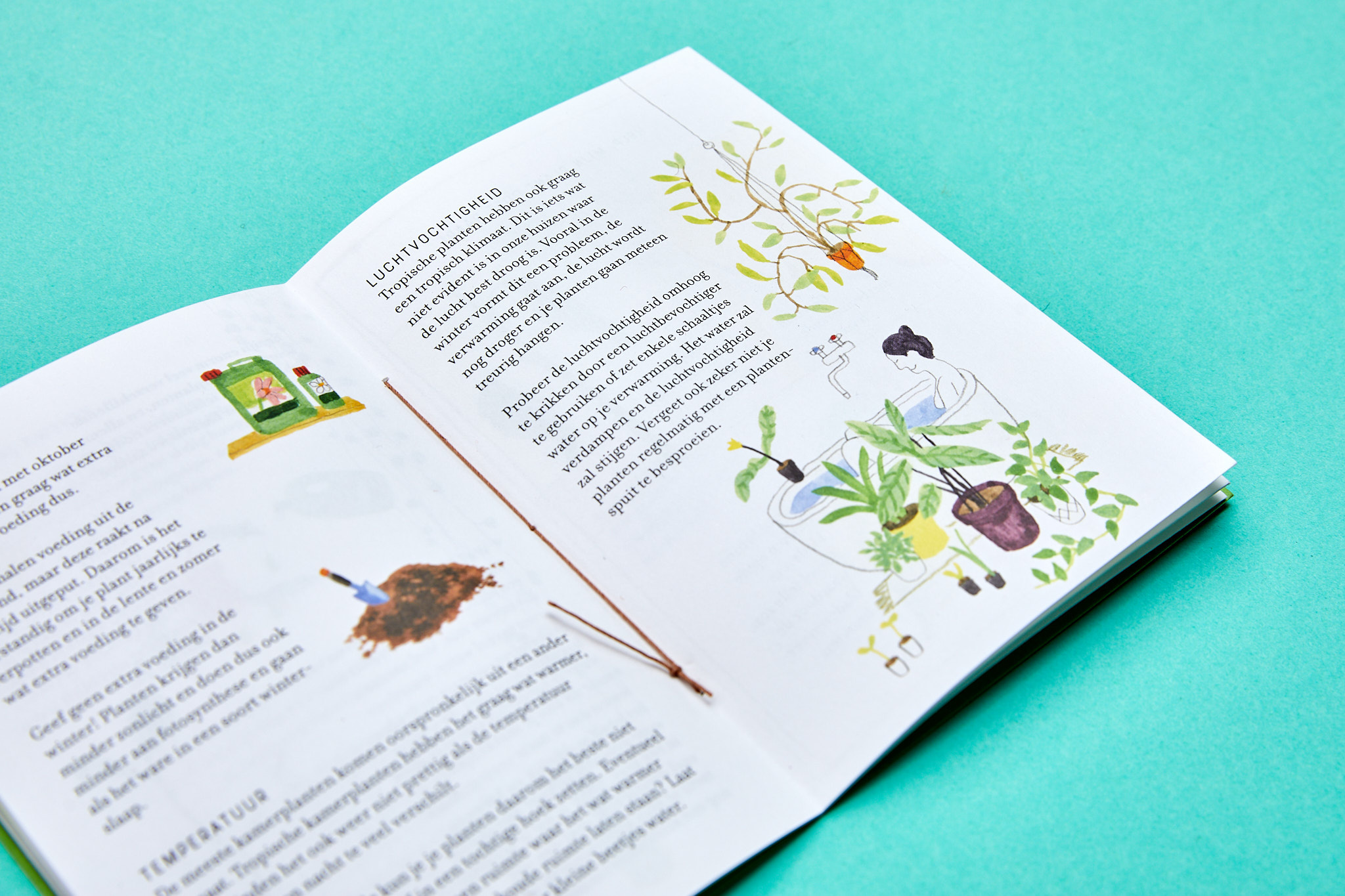 GROENE VINGERS ~ Kakkerlakjes - De Groene Knoop • Green Lifestyle Store -