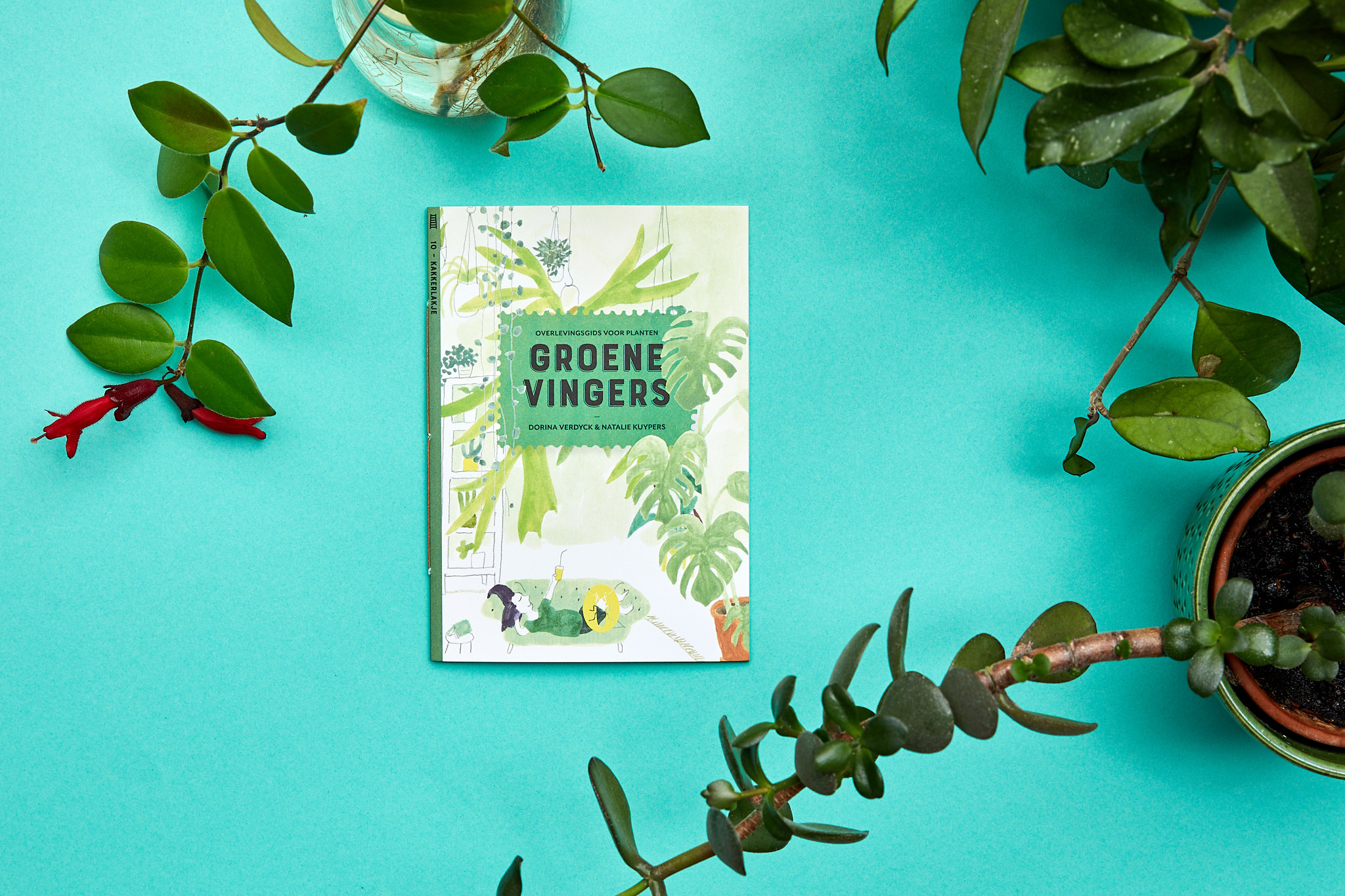 GROENE VINGERS ~ Kakkerlakjes - De Groene Knoop • Green Lifestyle Store -