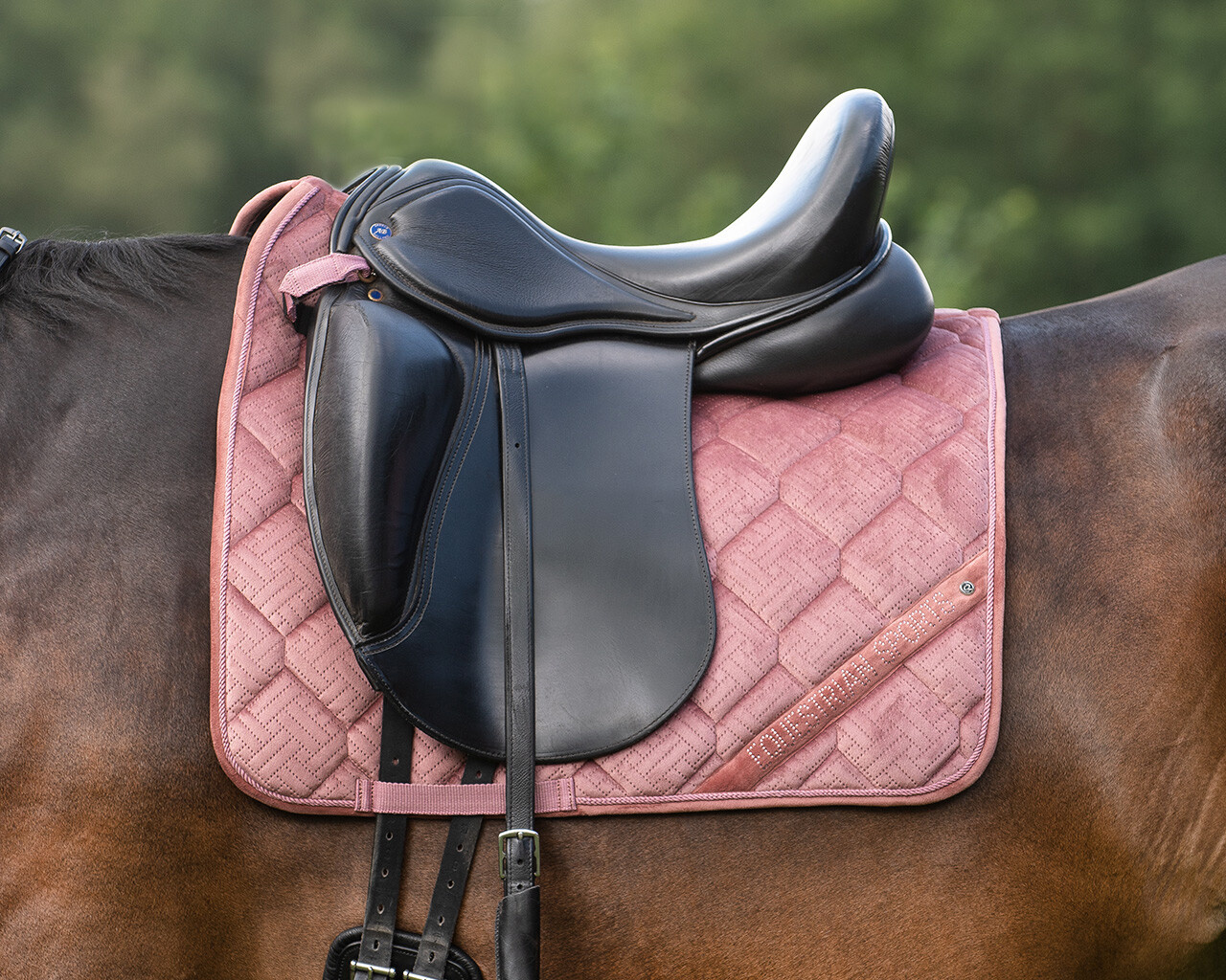 QHP Zadeldek Summer Glow Blush - Zalda