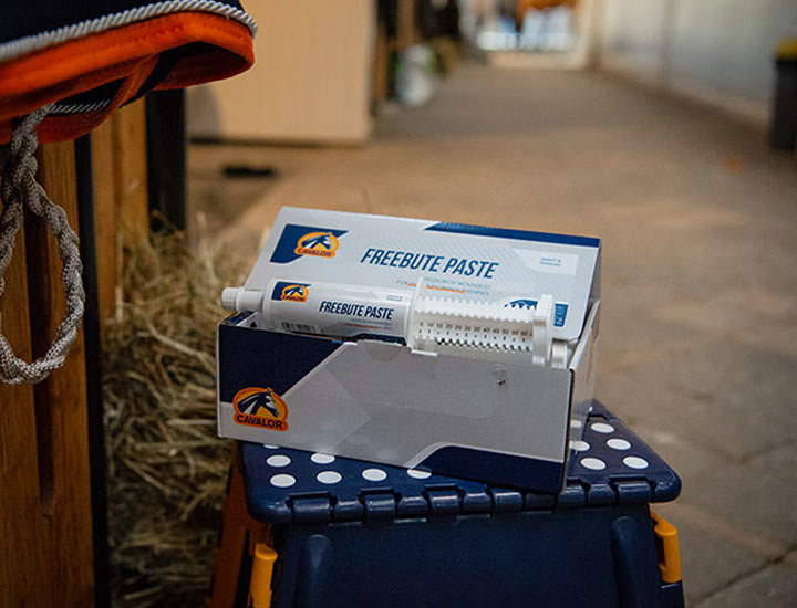 Free bute pasta - Zalda