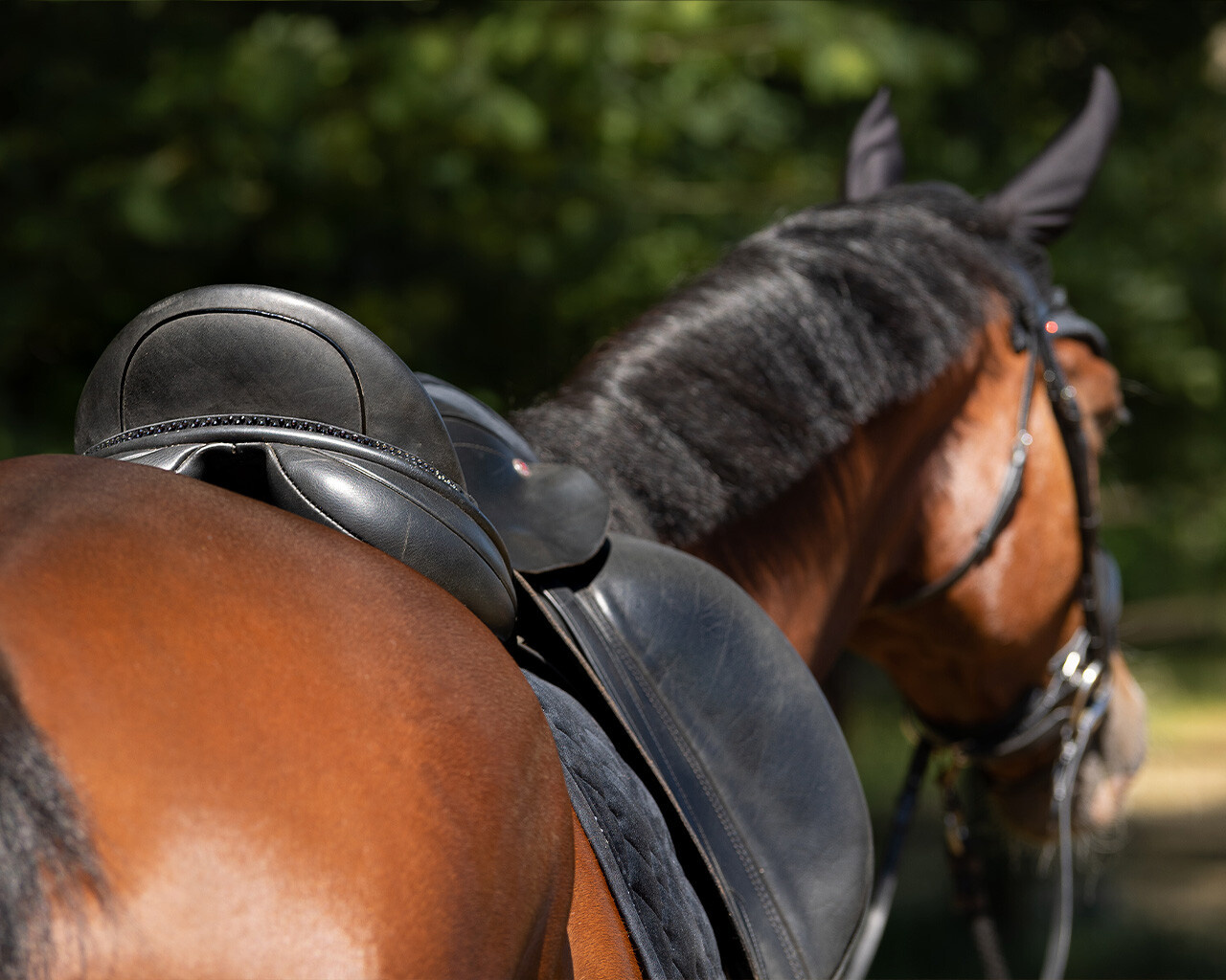 Zadel sierraad - Zalda Ruitersport